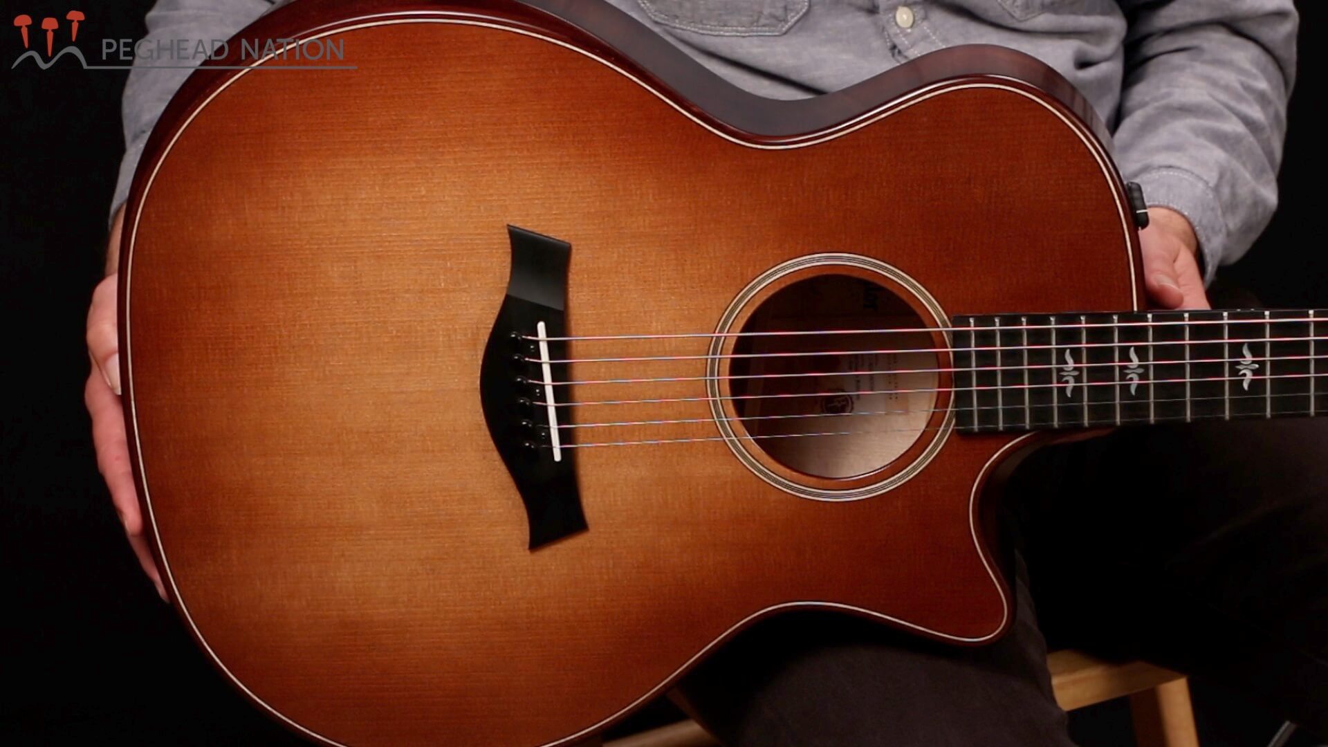 Taylor Builder’s Edition 614ce WHB - Peghead Nation