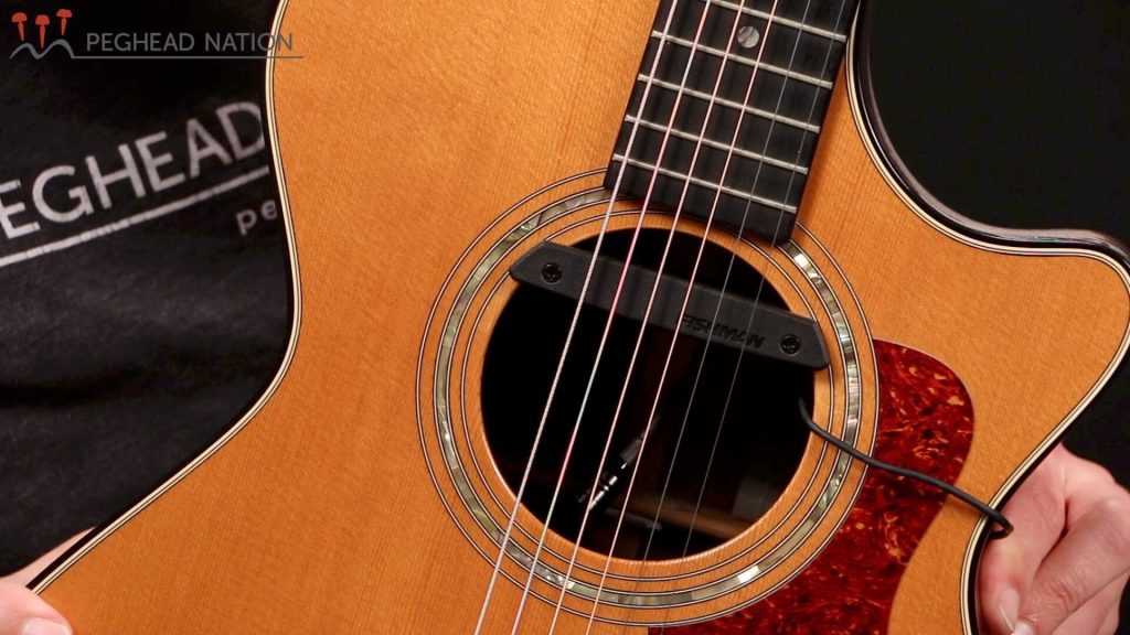 Fishman Resophonic Amplification - Peghead Nation