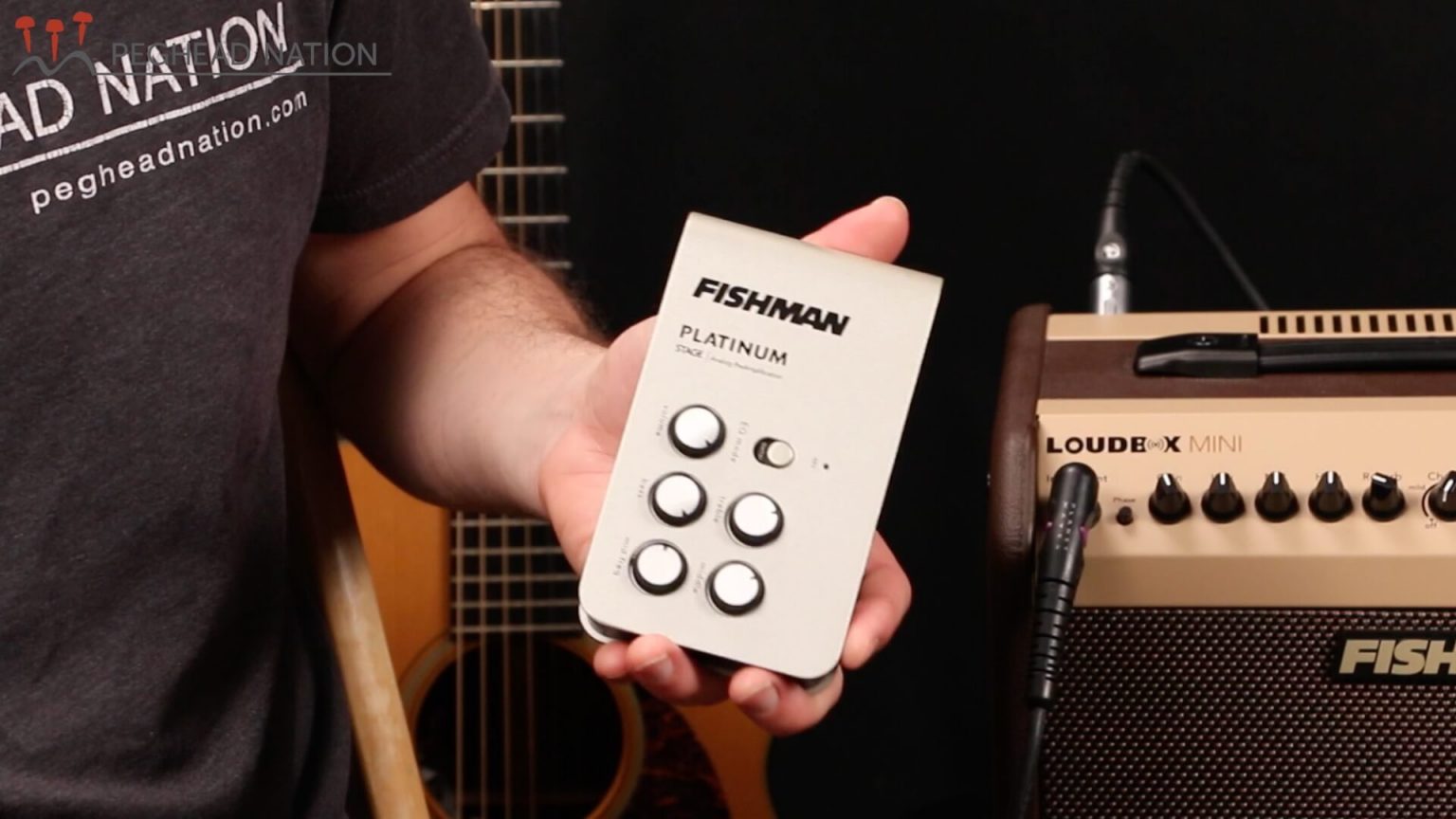Fishman Rare Earth Mic Blend - Peghead Nation