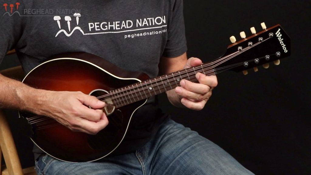 Pava A5 Pro Mandolin - Peghead Nation
