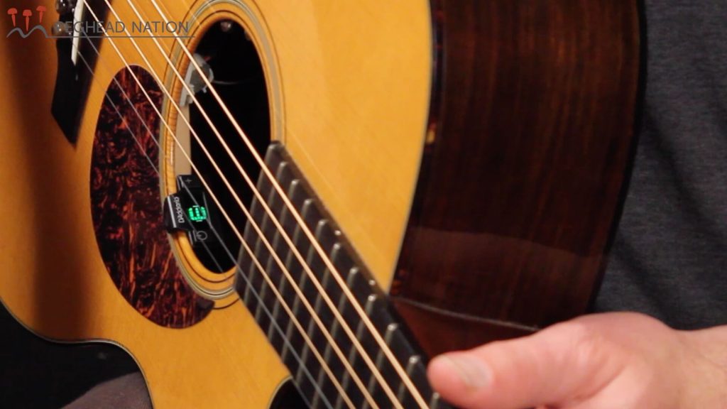 D’Addario Eclipse Tuner - Peghead Nation
