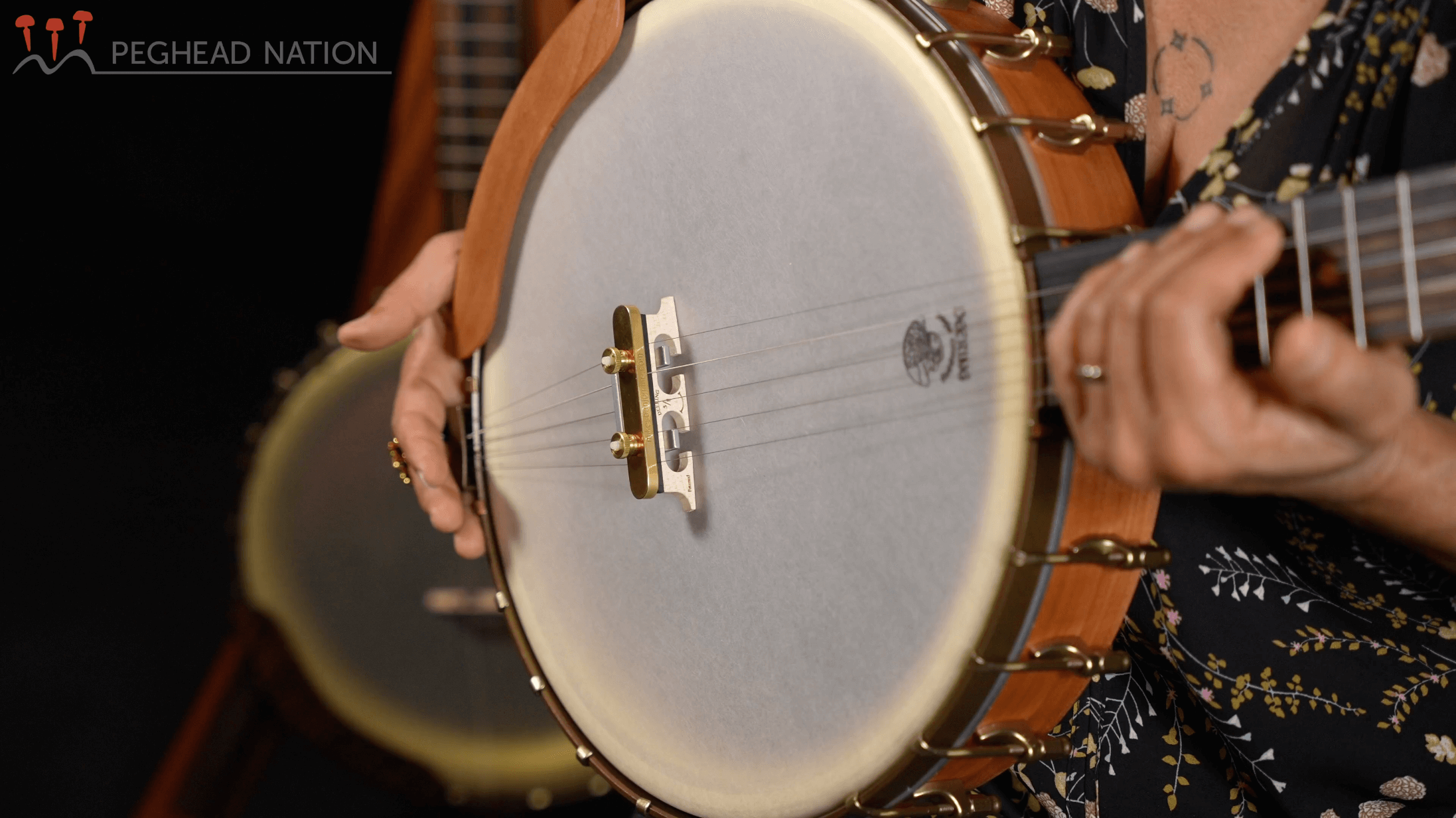 Mike’s Banjo Mute - Peghead Nation