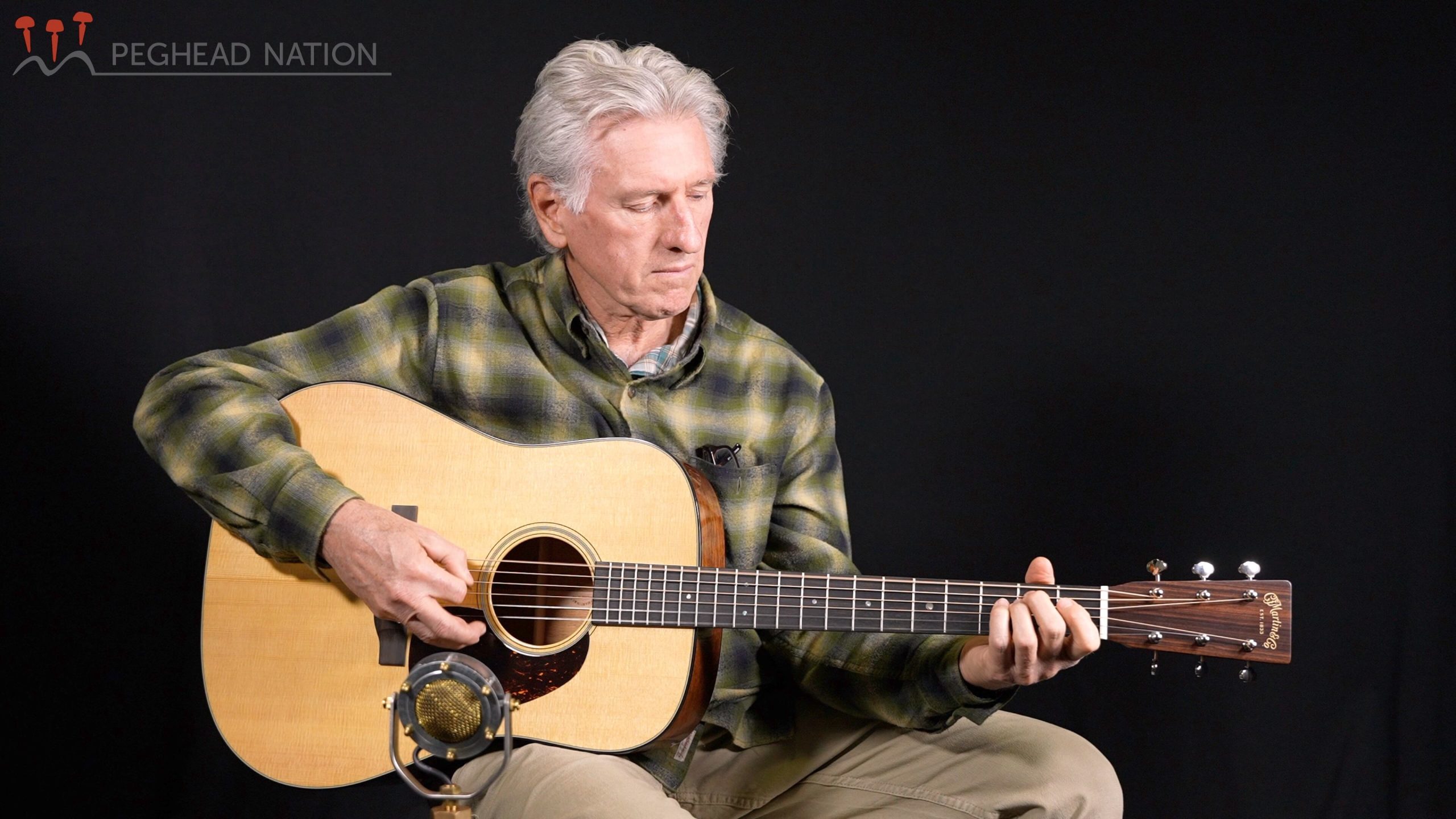 Martin D-18 Standard Series - Peghead Nation